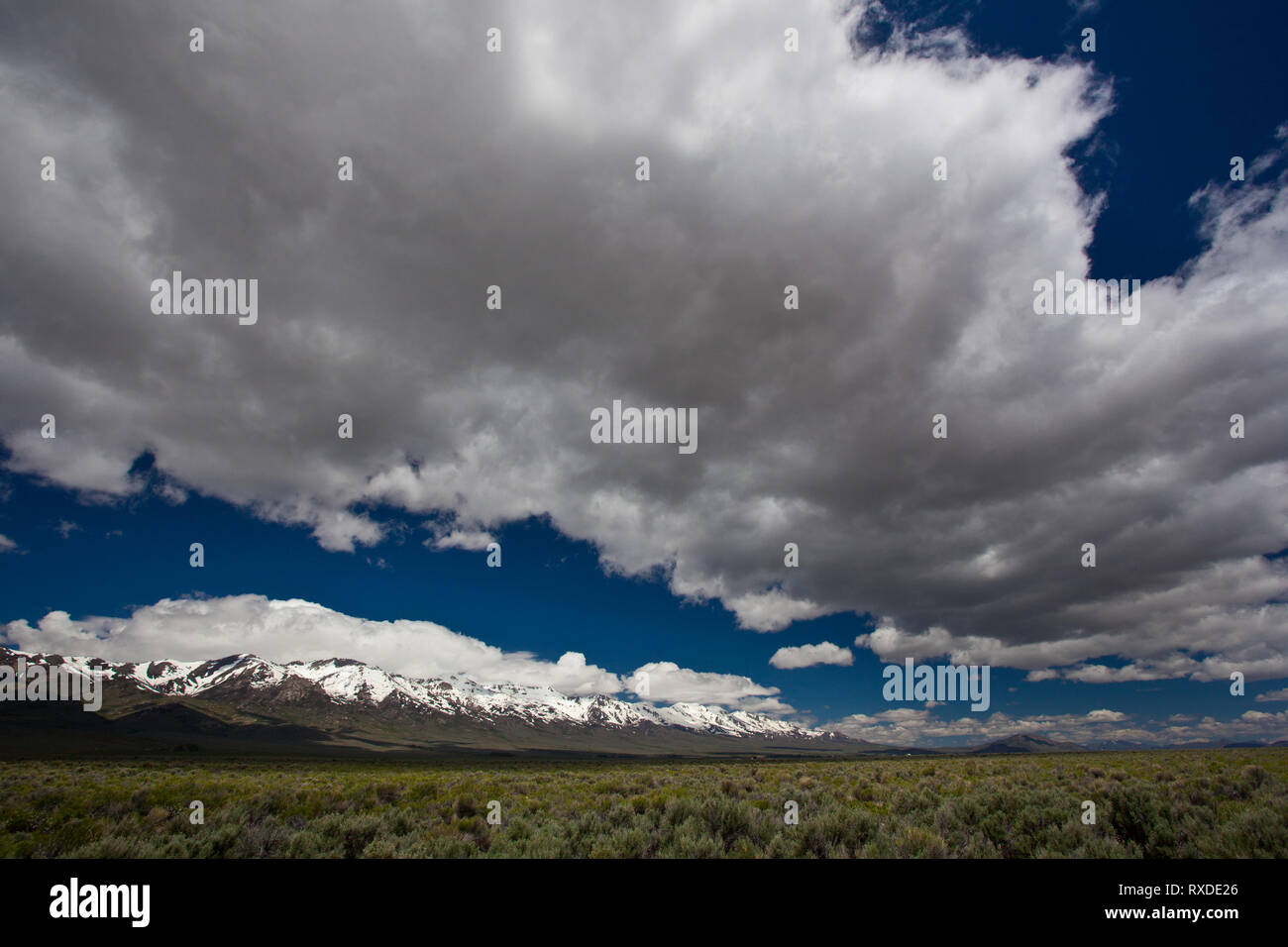 Ruby Mountains, Elko County, Nevada, USA Stock Photo - Alamy