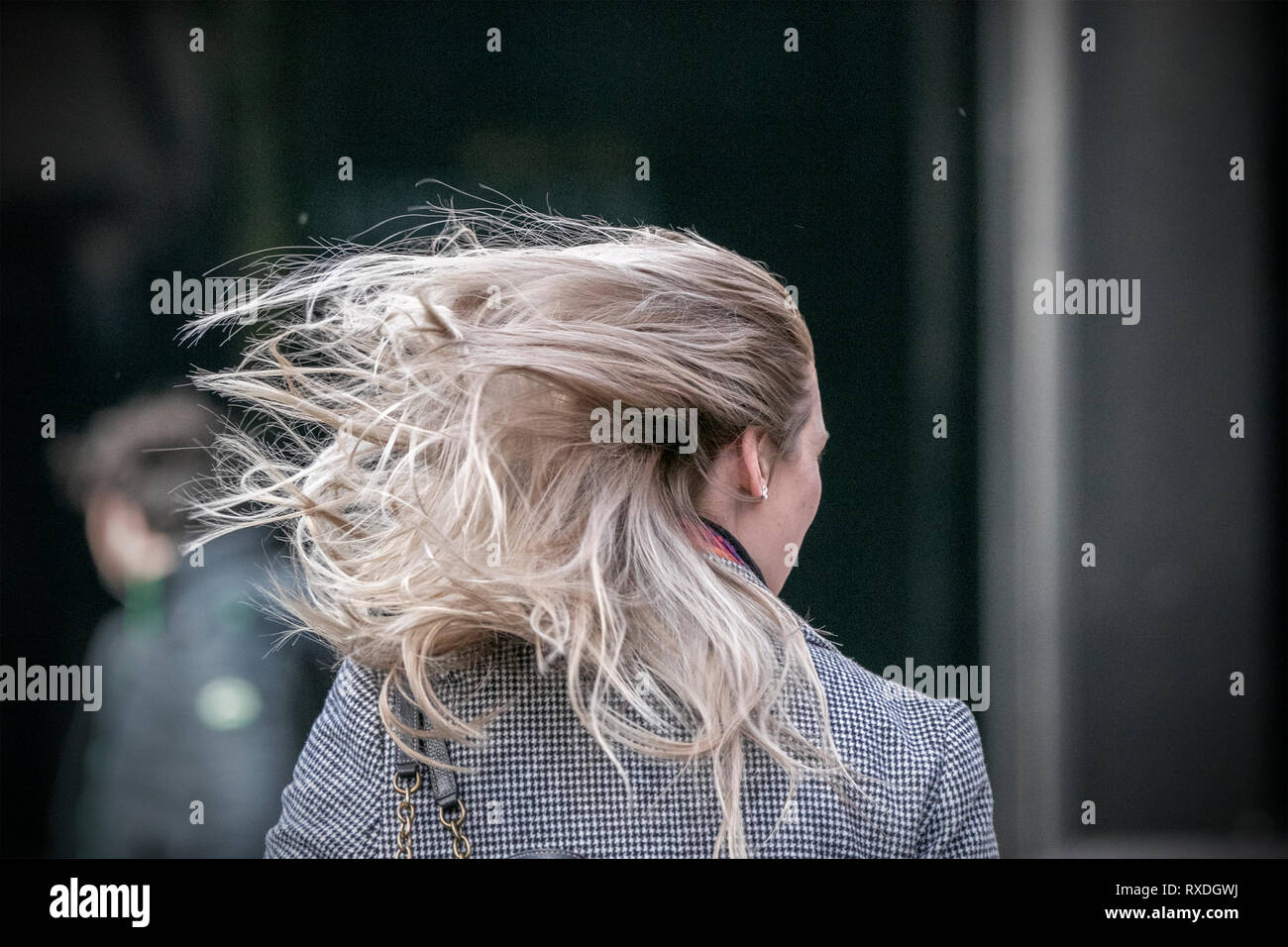 wind,hair,windswept,bad hair day,wind blown hair,long hair,female,face ...