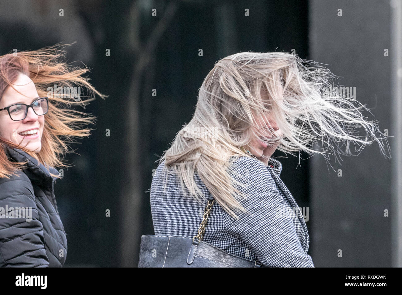 wind,hair,windswept,bad hair day,wind blown hair,long hair,female,face ...