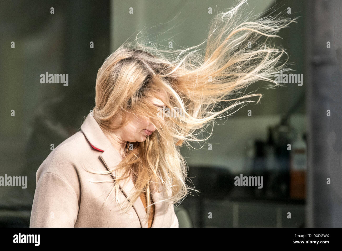 wind,hair,windswept,bad hair day,wind blown hair,long hair,female,face ...