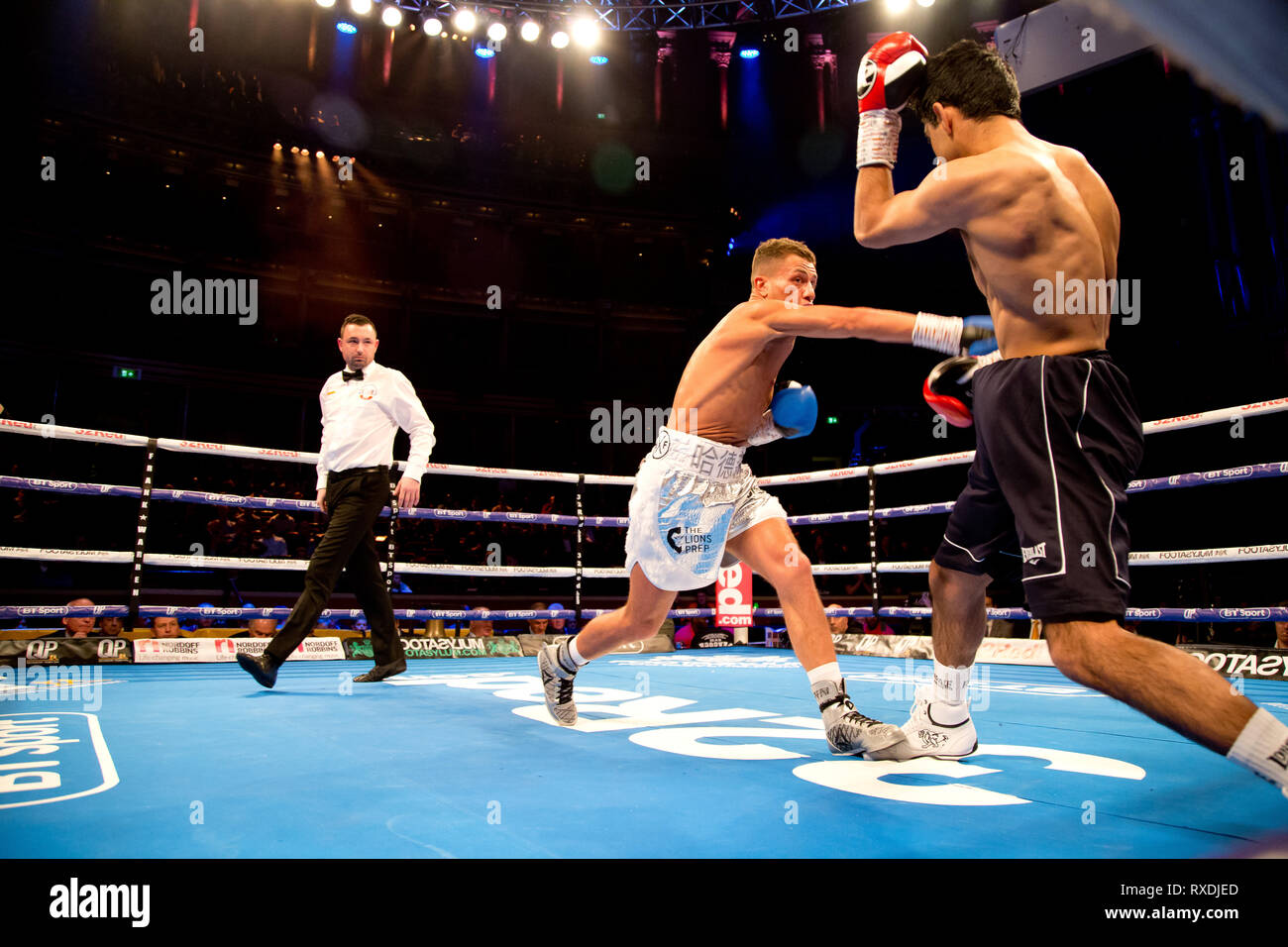 Wbo british champion belt hi-res stock photography and images - Alamy