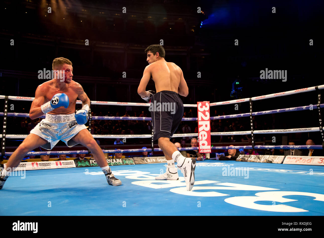 Boxing at royal albert hall hi-res stock photography and images - Alamy