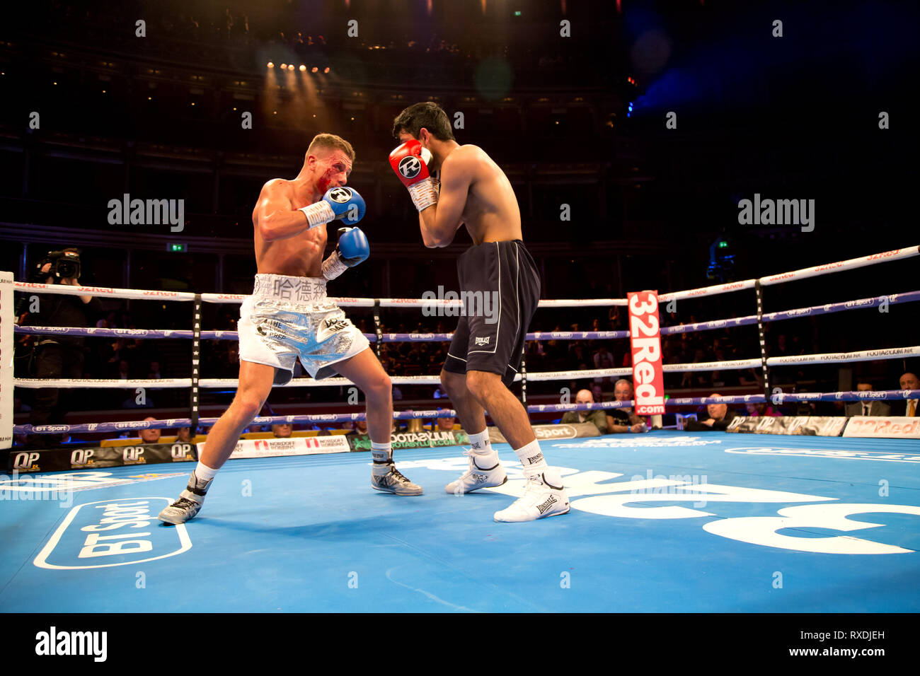 Boxing at royal albert hall hi-res stock photography and images - Alamy