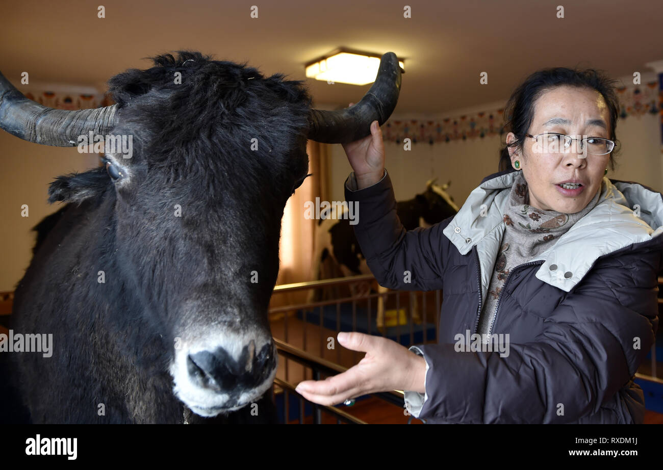 Tibet 1965 hi-res stock photography and images - Alamy