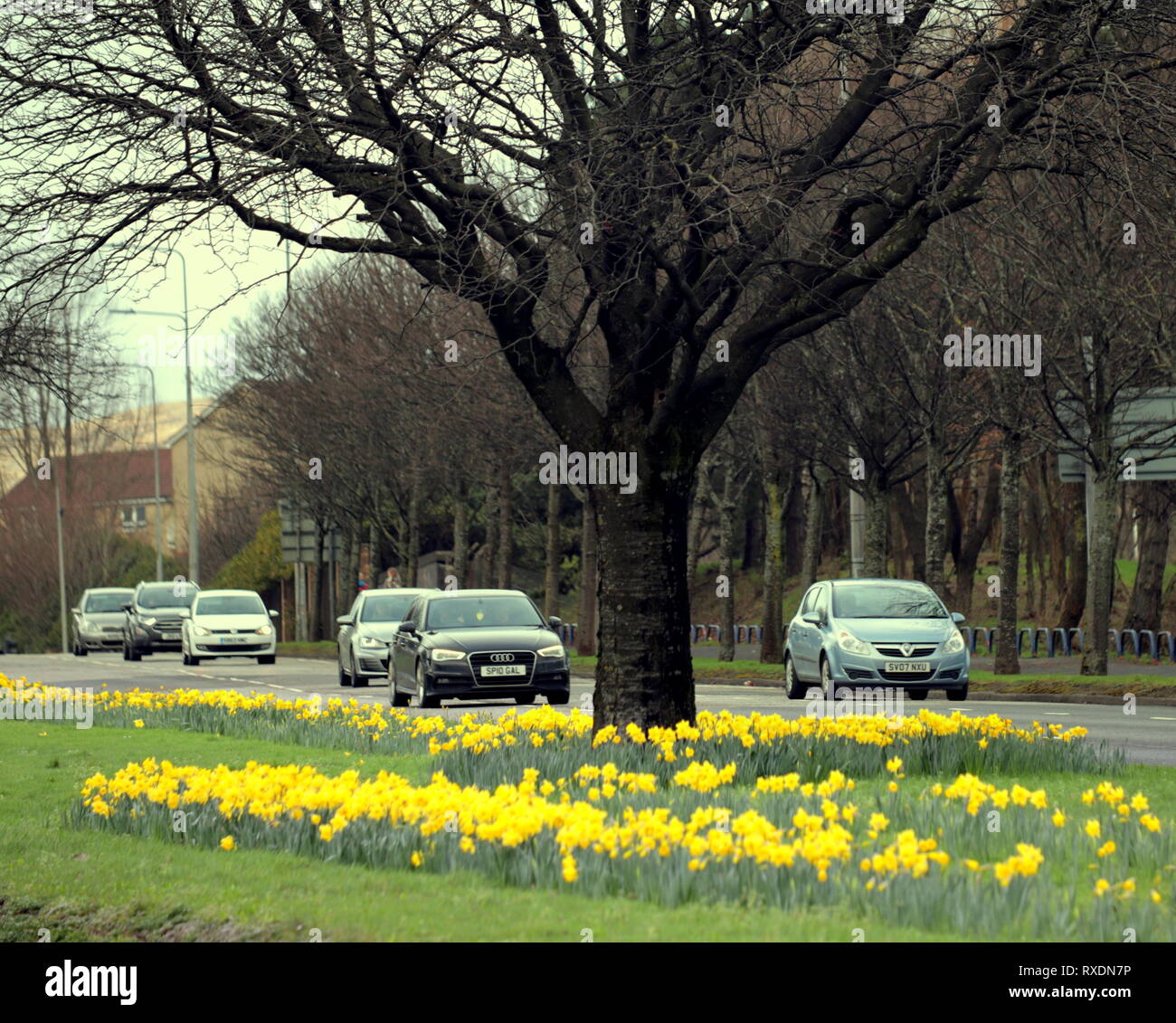 Seasons of scotland hi-res stock photography and images - Alamy