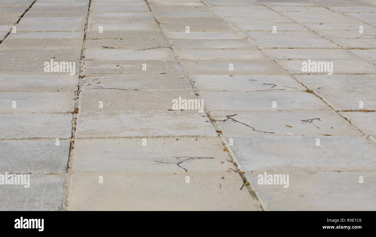 block road in park at spring Stock Photo - Alamy