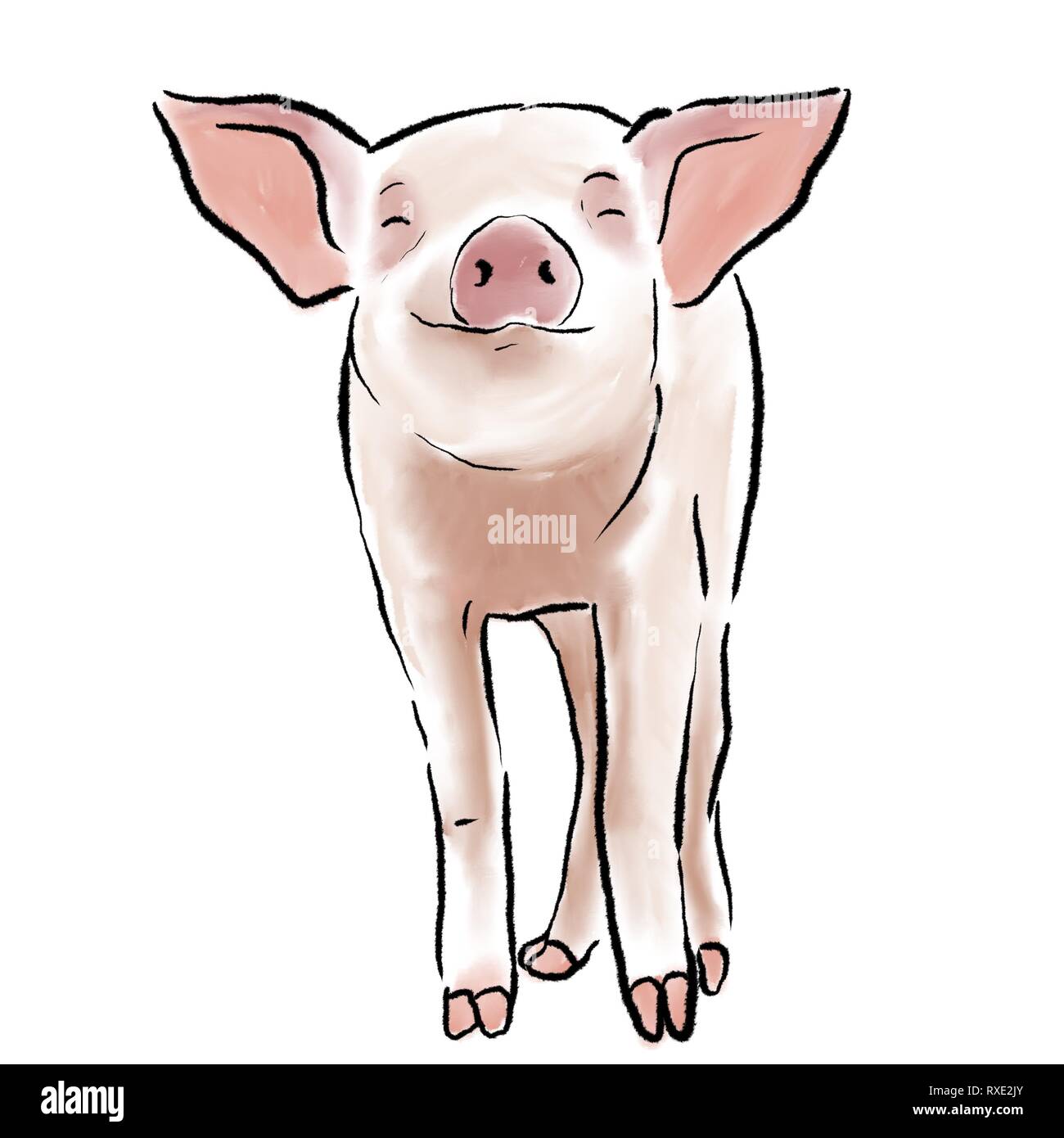 A cute smiling pink piglet Stock Photo - Alamy