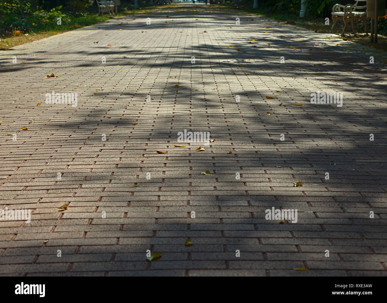 Bricks pathway hi-res stock photography and images - Alamy