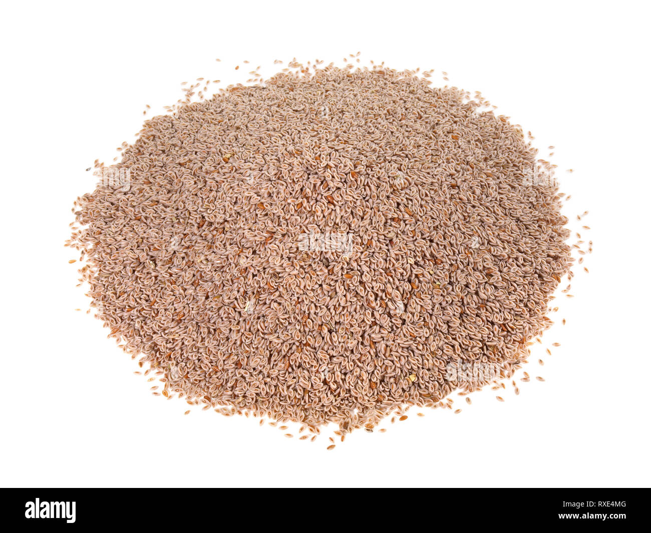 Psyllium Seeds - Healthy Nutrition Stock Photo - Alamy