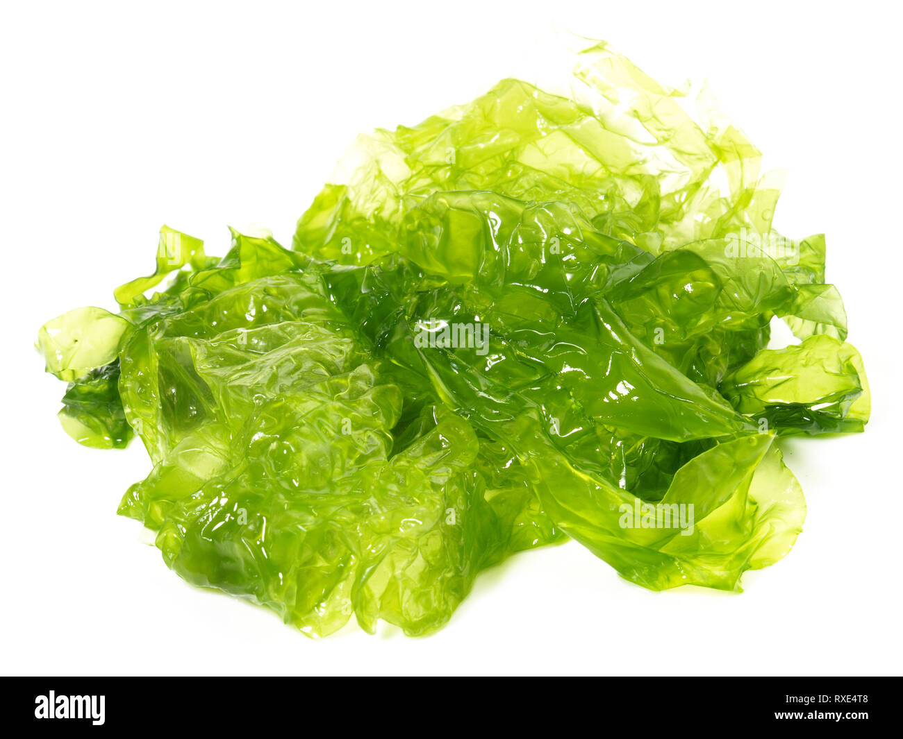 Green Algae Closeup High Resolution Stock Photography and Images - Alamy