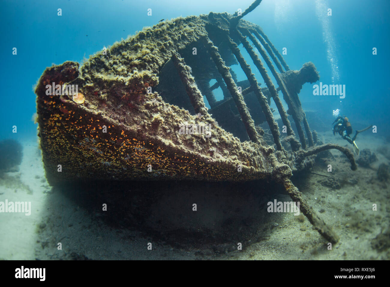 Wreck of Saphis, Mediterranean sea. Spahis is an steam ship of 52,80 m ...