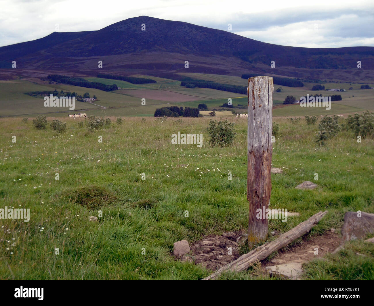 The Scottish Mountain Corbett Ben Rinnes, Cairngorm National Park ...