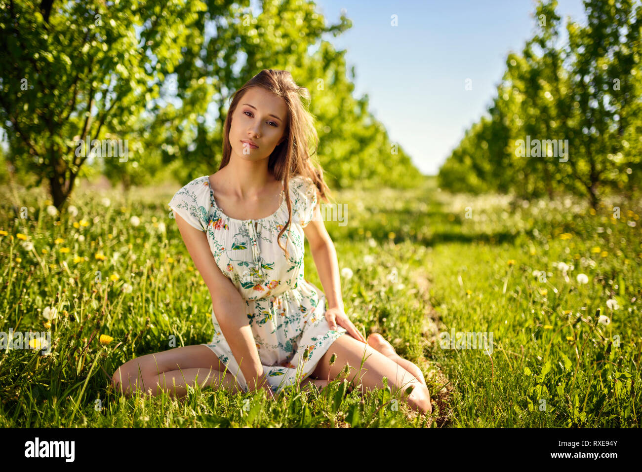 A female model posing in a breathtaking orchard during summer Stock ...