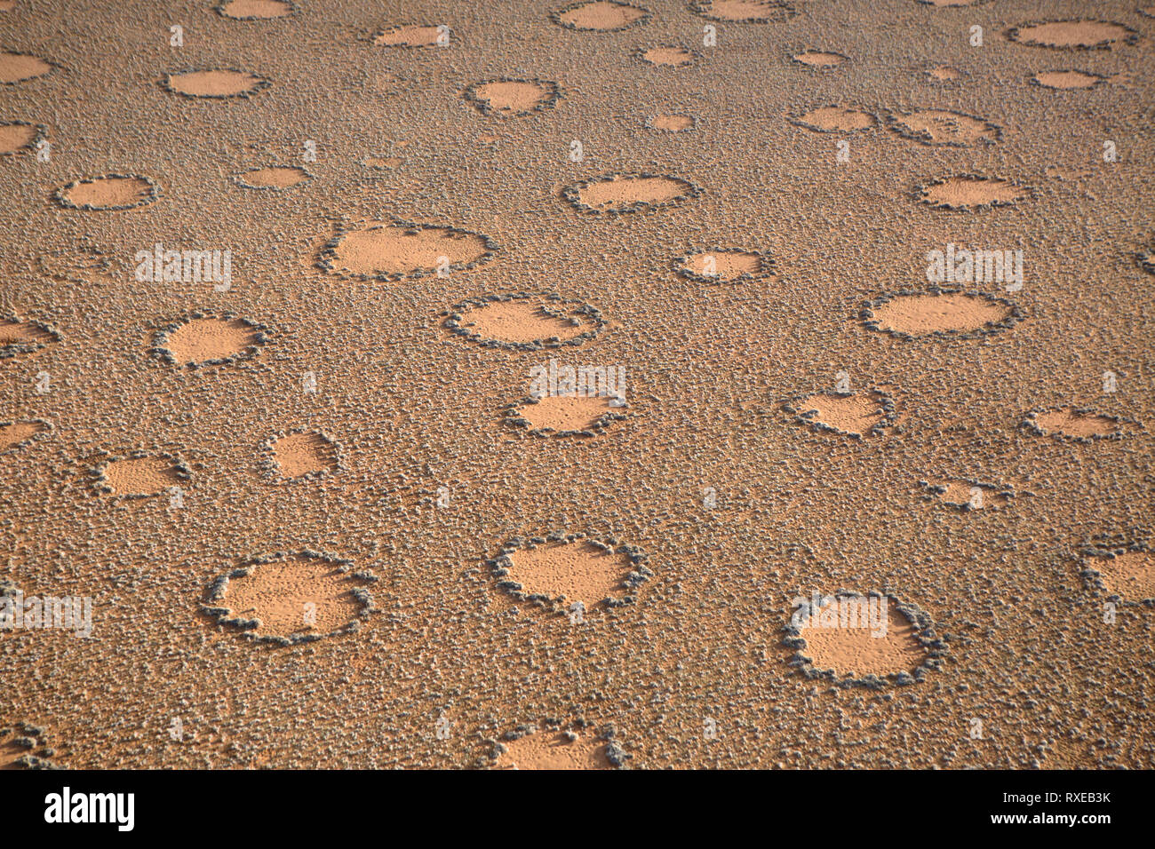 Fairy circle hi-res stock photography and images - Alamy