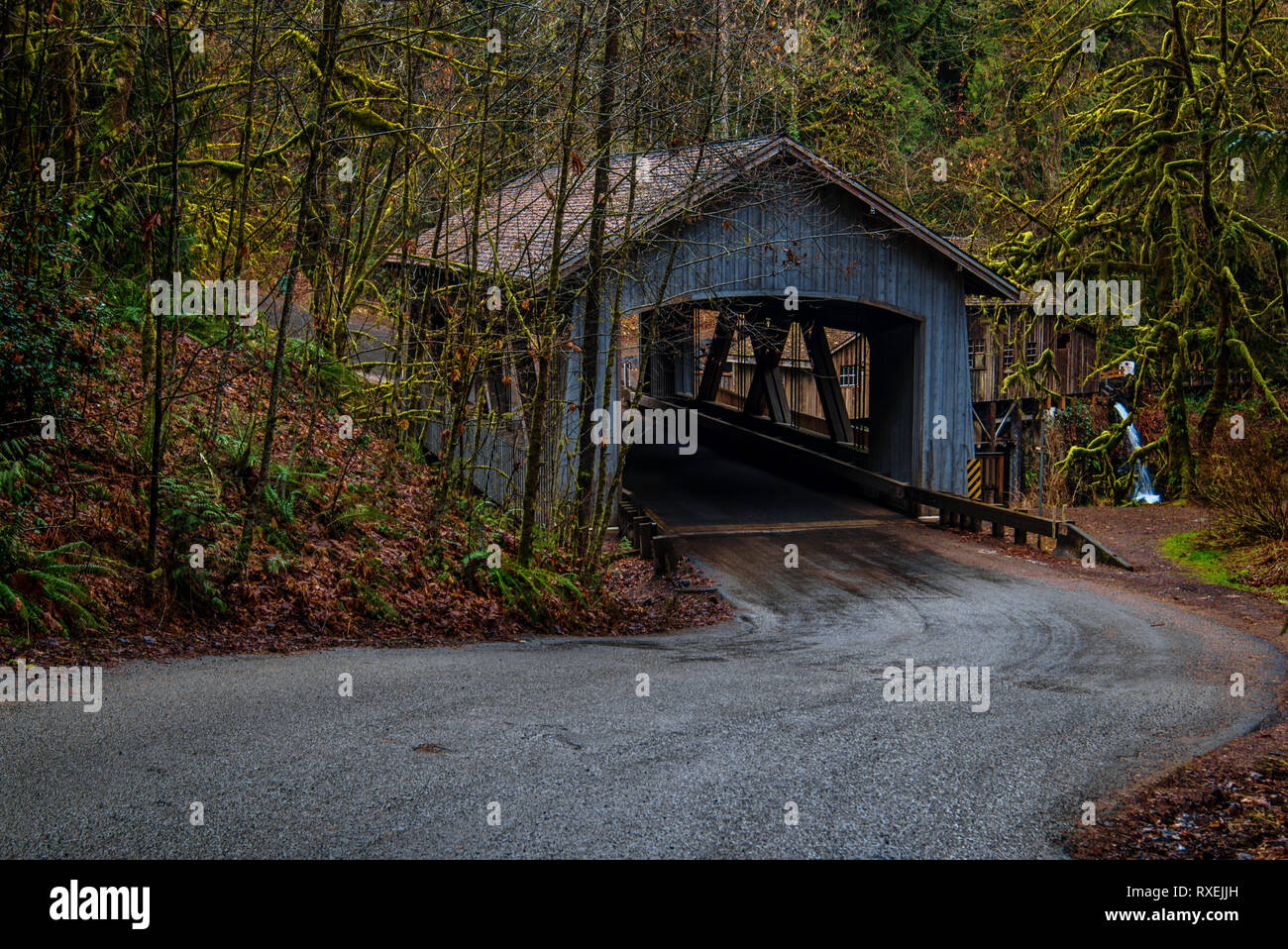 Covered bridge in forest green hi-res stock photography and images - Alamy