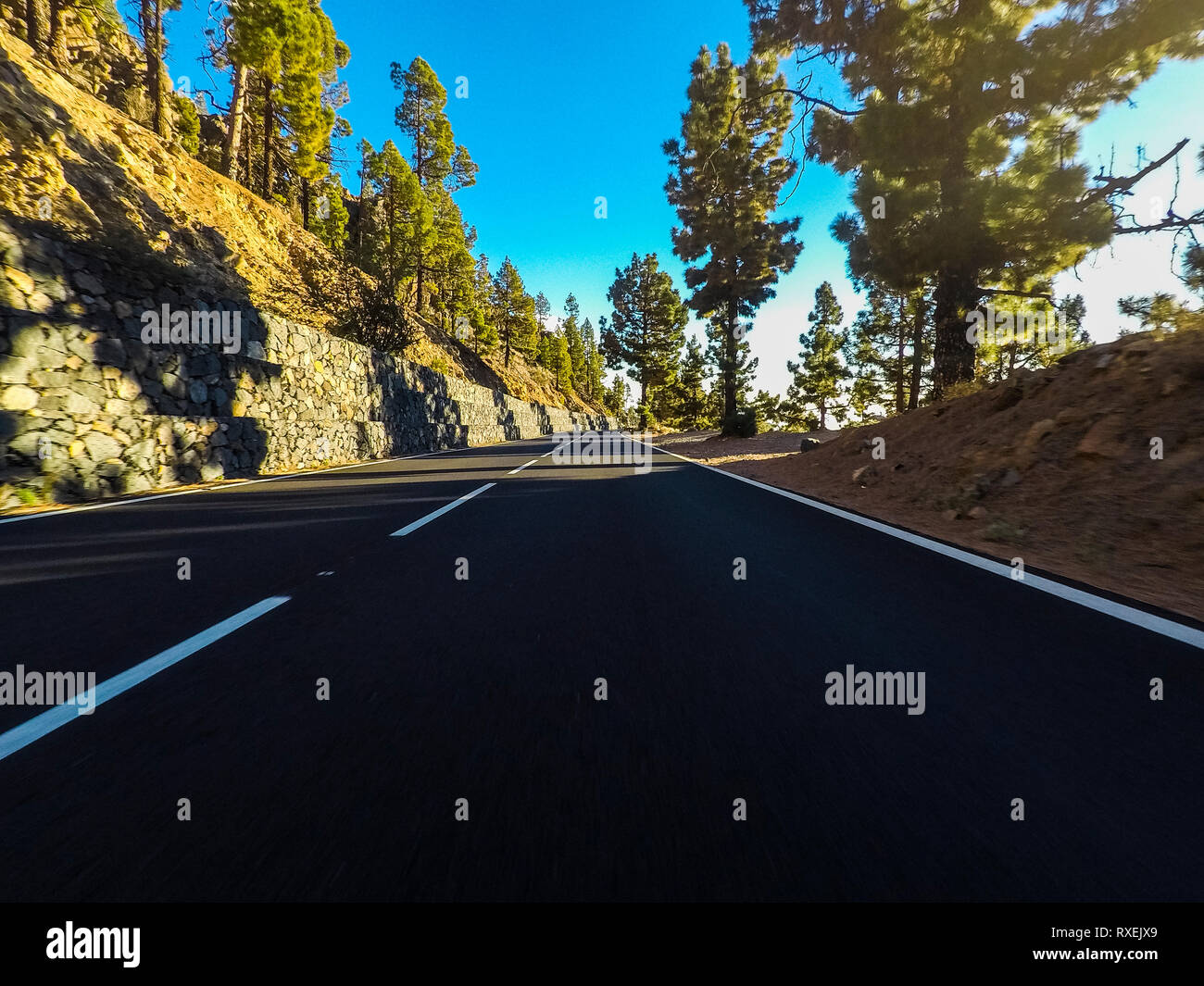 Long way road at the mountain with pines forest in front and blue clear ...