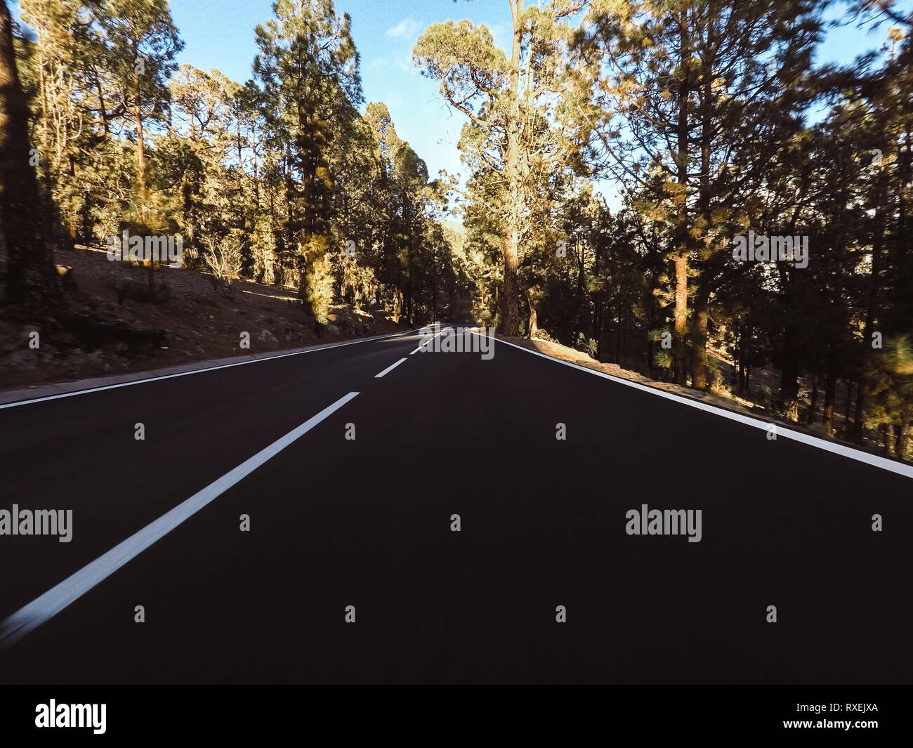 Long way road at the mountain with pines forest in front and blue clear ...