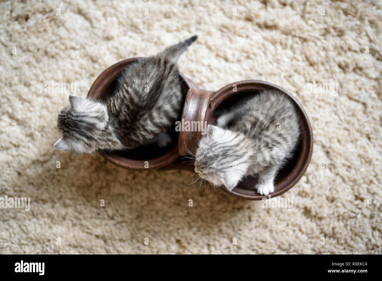 Try pot hi-res stock photography and images - Alamy