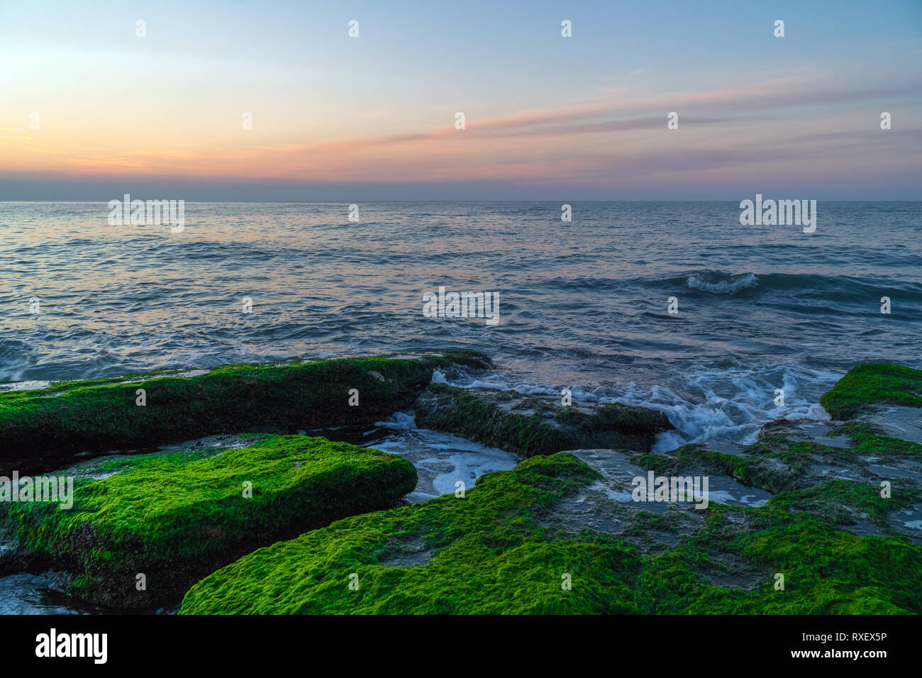 Colorful sea shore with green algae, splashing waves Stock Photo - Alamy
