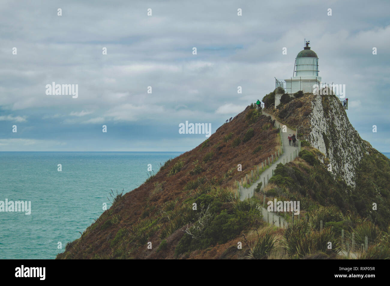 Nugget Point Lighthouse viewpoint in Otago, South Island, New Zealand ...