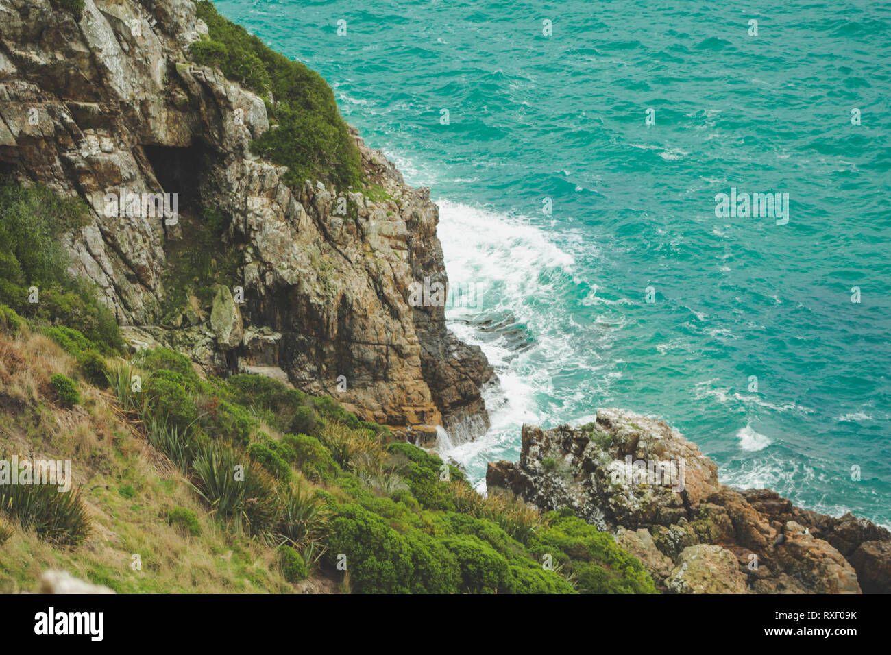 Nugget Point viewpoint in Otago, South Island, New Zealand Stock Photo ...