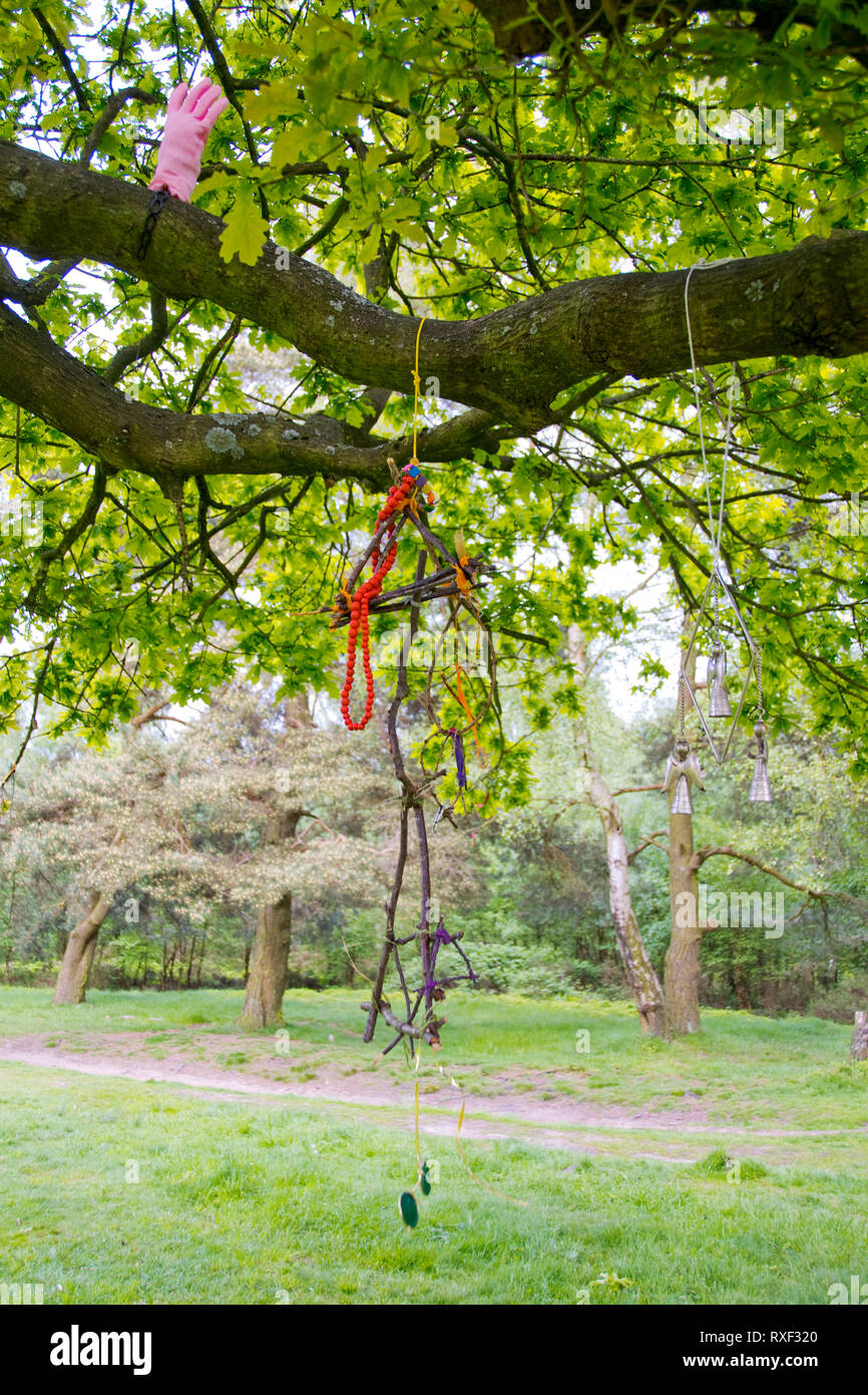 Sacred oak tree hi-res stock photography and images - Alamy