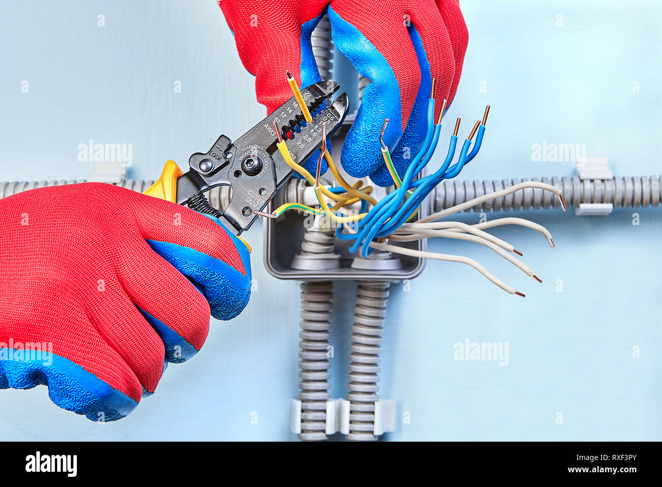 Electrician in protective gloves is cutting copper wiring of household ...