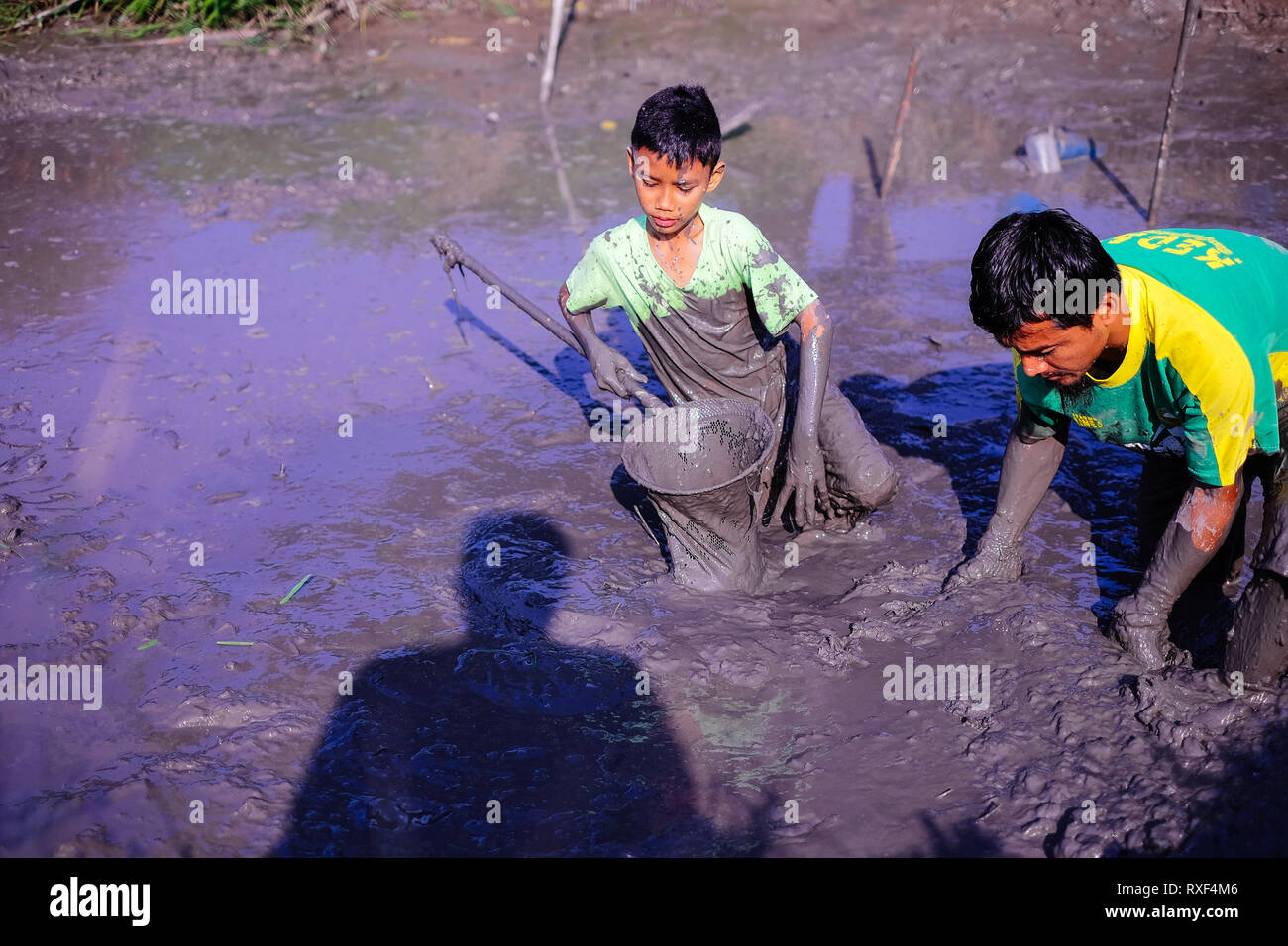 Children catch fish in mud hi-res stock photography and images - Alamy