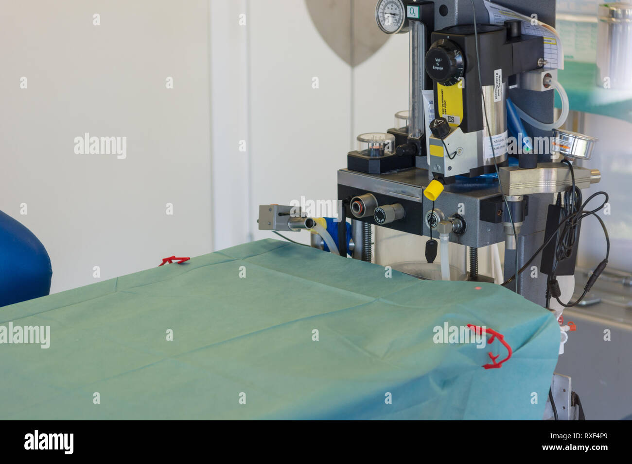 Operating room of veterinary clinics with hi-tech equipment Stock Photo ...