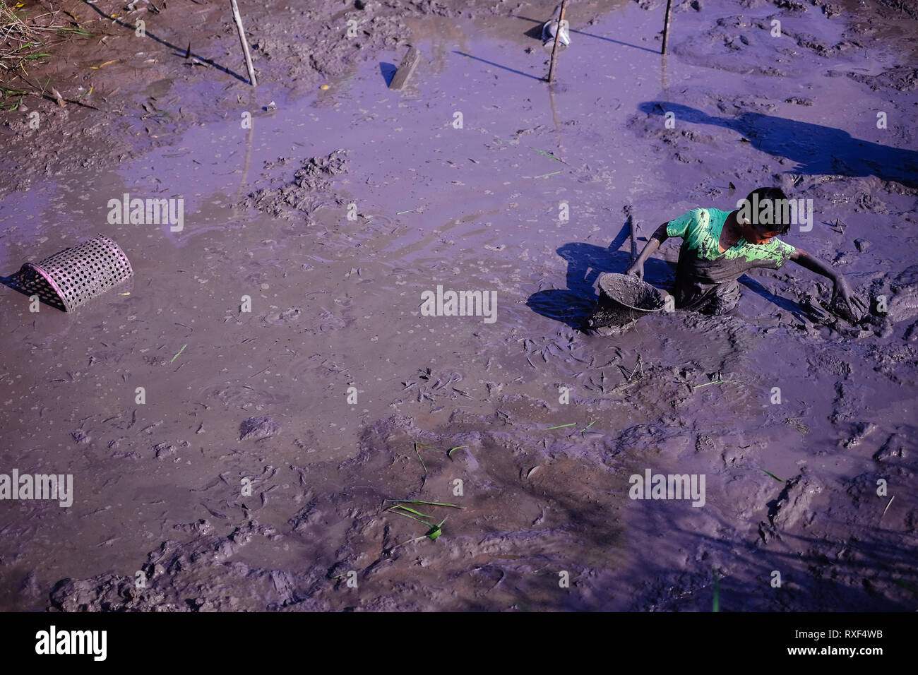 Children catch fish in mud hi-res stock photography and images - Alamy