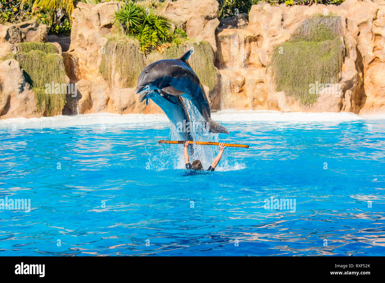 Keeper animal underwater hi-res stock photography and images - Alamy