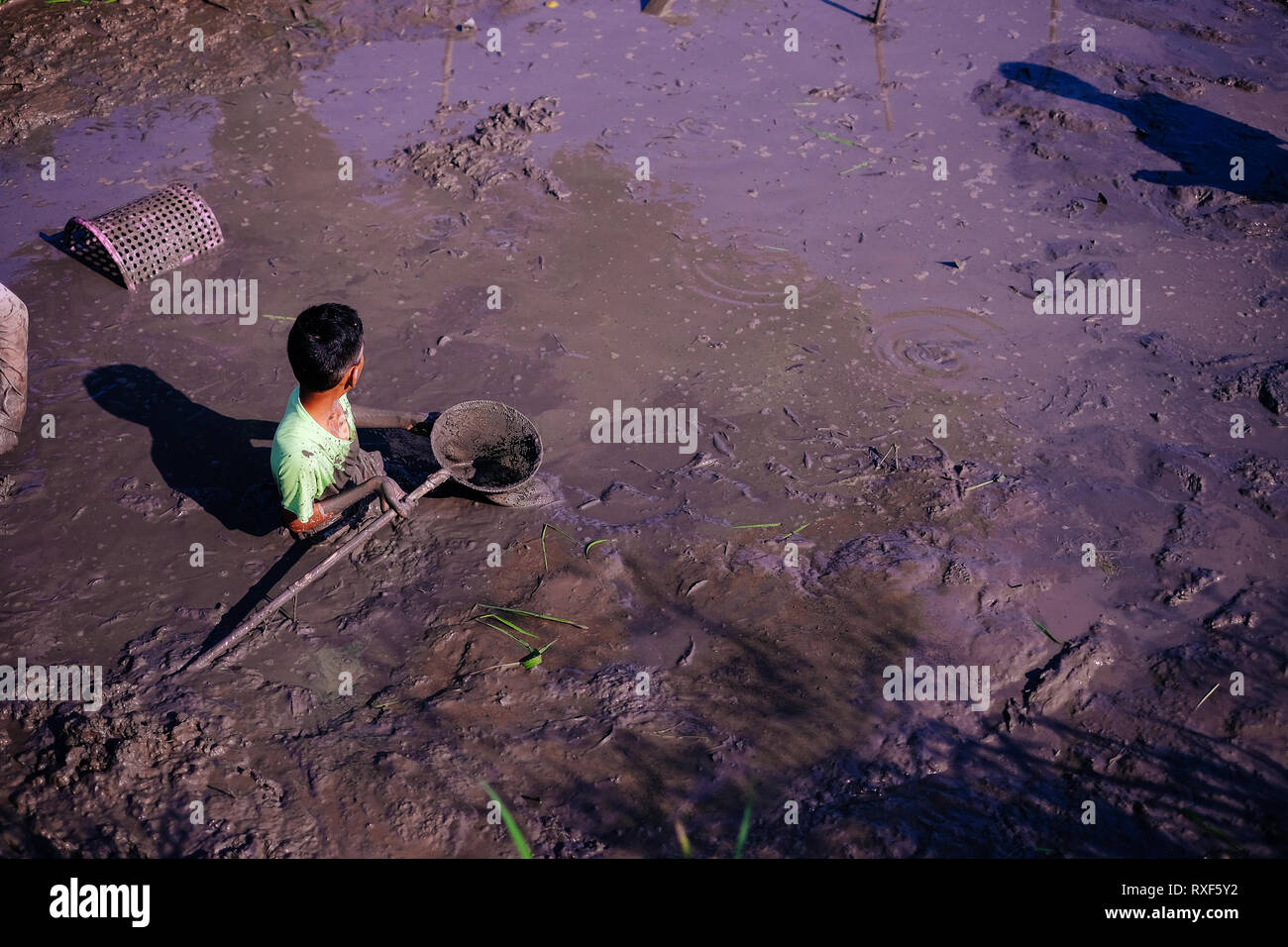 Children catch fish in mud hi-res stock photography and images - Alamy