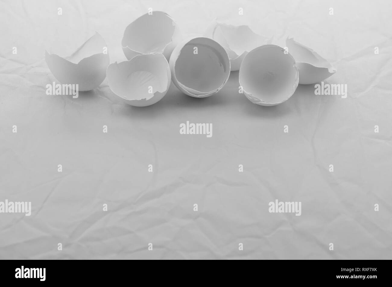 Broken egg shells Black and White Stock Photos & Images - Alamy Broken egg shells Black and White Stock Photos & Images - Alamy