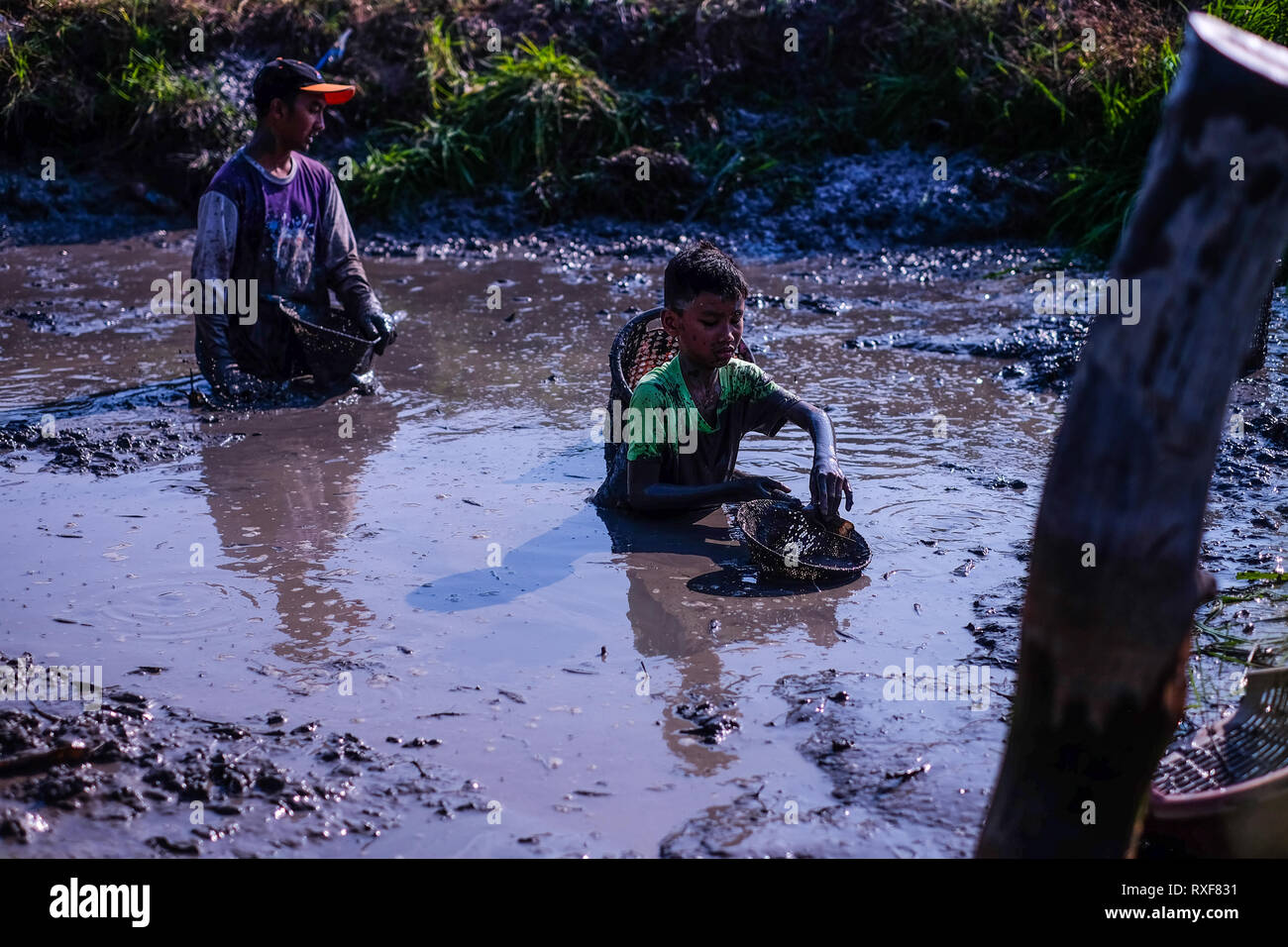 Children catch fish in mud hi-res stock photography and images - Alamy