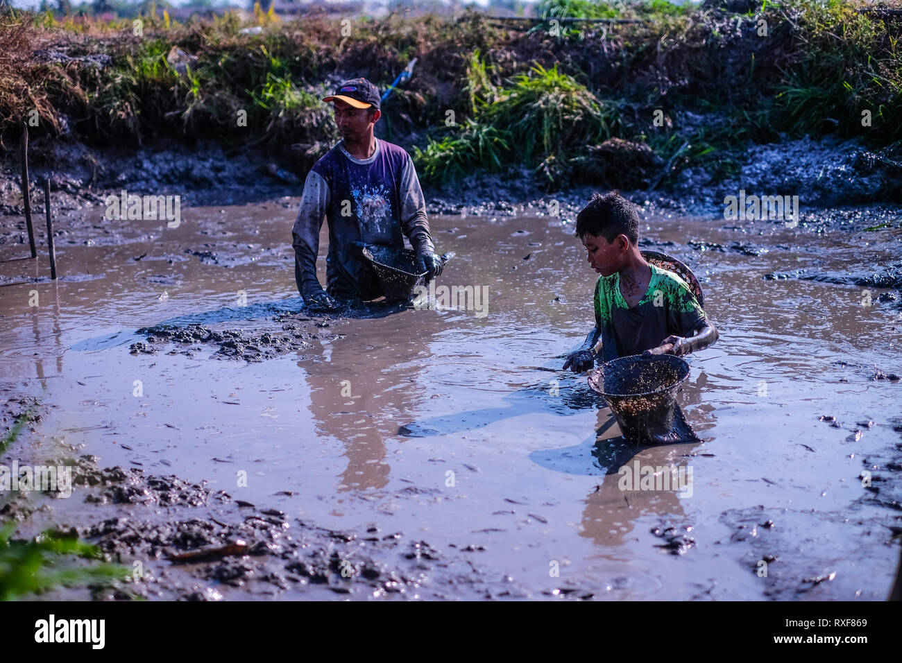 Children catch fish in mud hi-res stock photography and images - Alamy