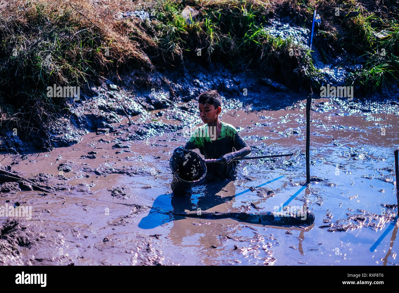 A kid enjoying catch a fish in the mud at paddy field area in Malaysia ...
