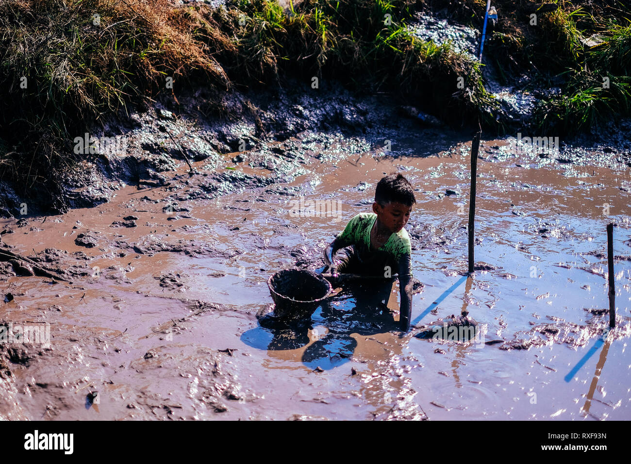 A kid enjoying catch a fish in the mud at paddy field area in Malaysia ...