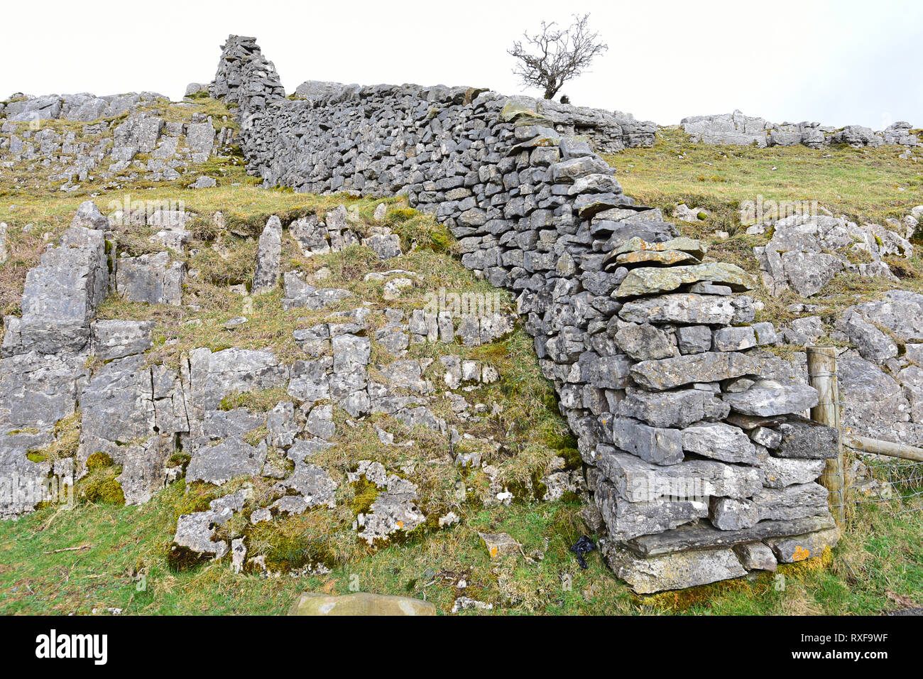North Yorkshire dry-stone walling Stock Photo - Alamy