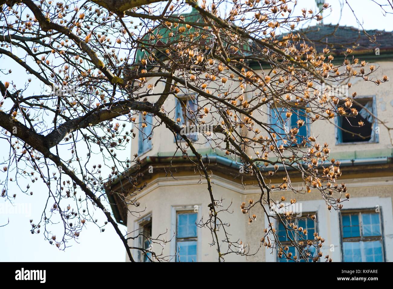 This house possessed hi-res stock photography and images - Alamy