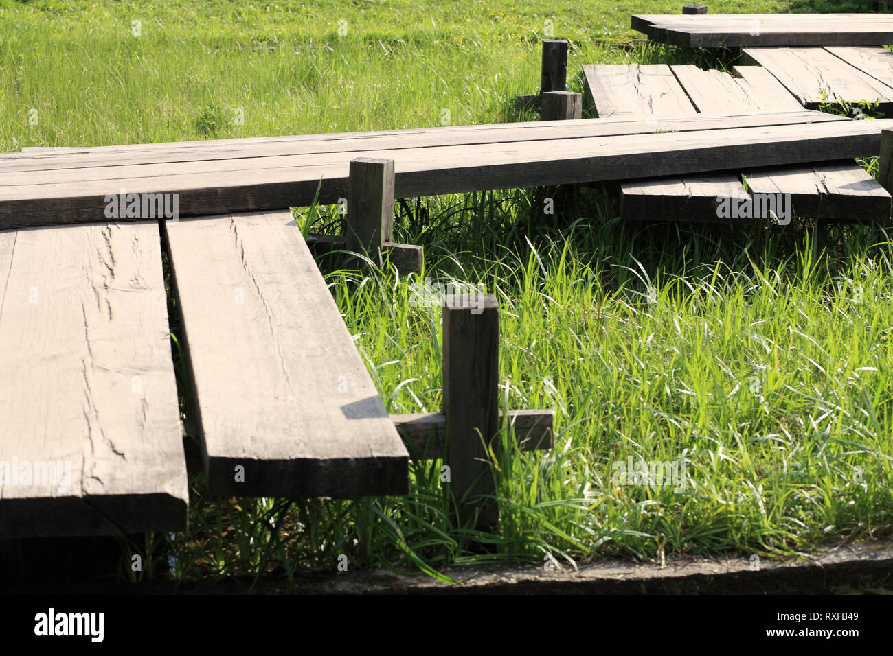 wood bridge in japan garden at day Stock Photo - Alamy