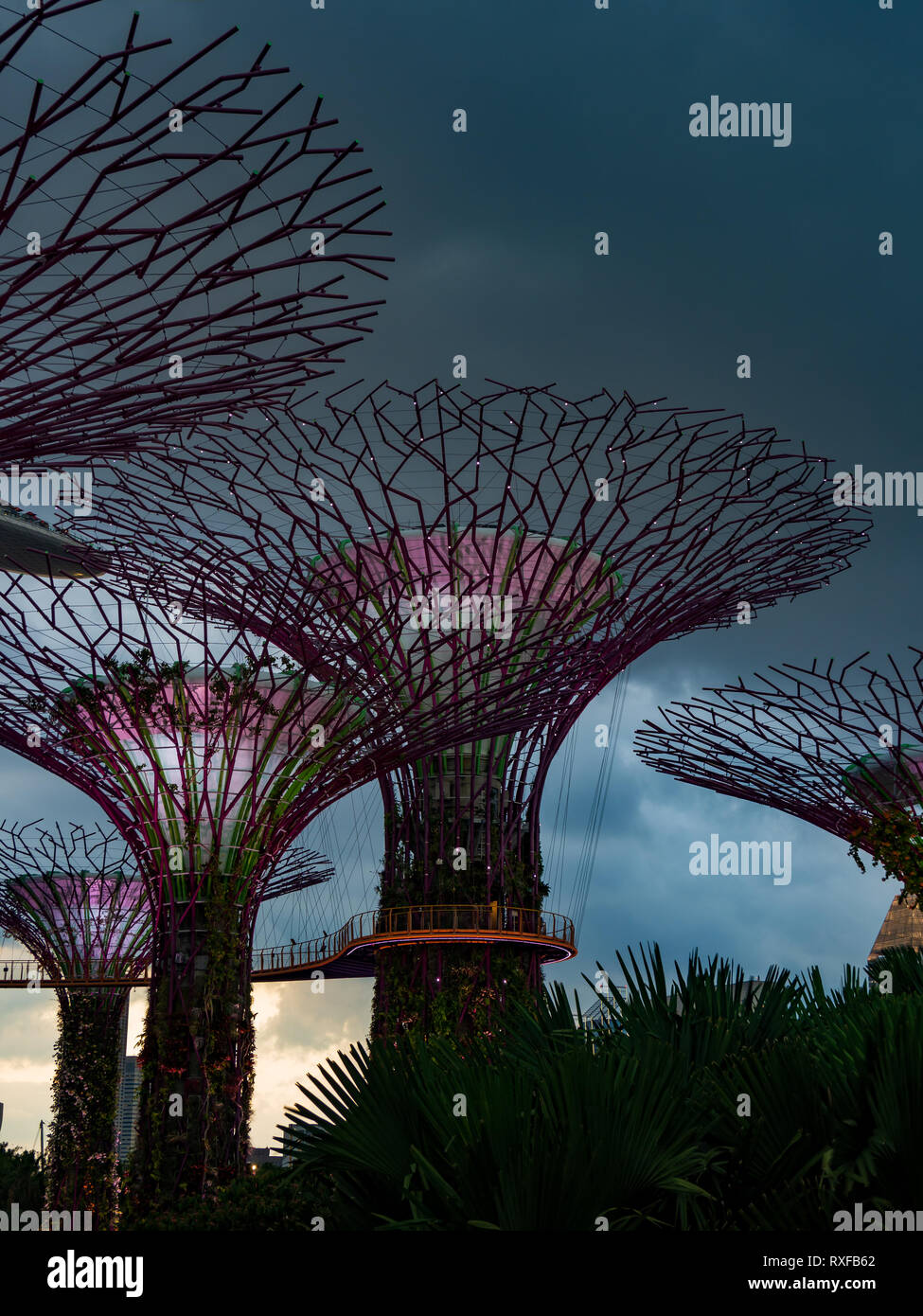 SINGAPORE CITY, SINGAPORE - FEBRUARY 03, 2019: Gardens by the bay in ...