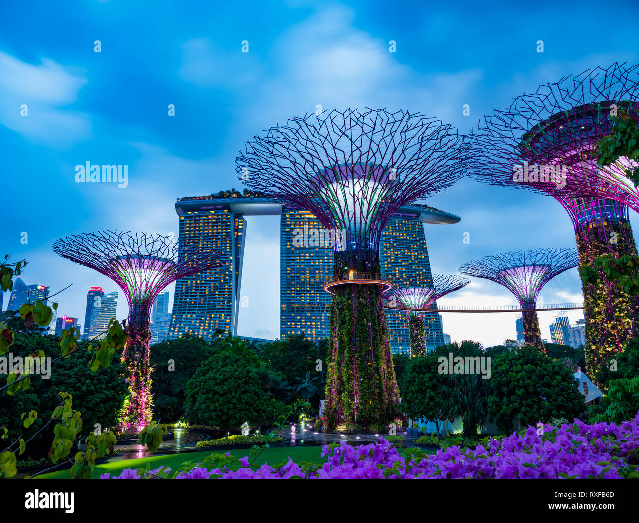 SINGAPORE CITY, SINGAPORE - FEBRUARY 03, 2019: Gardens by the bay in ...