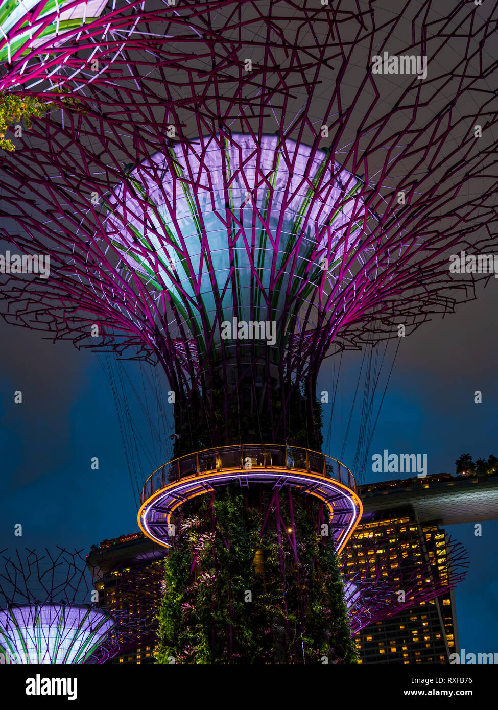 SINGAPORE CITY, SINGAPORE - FEBRUARY 03, 2019: Gardens by the bay in ...