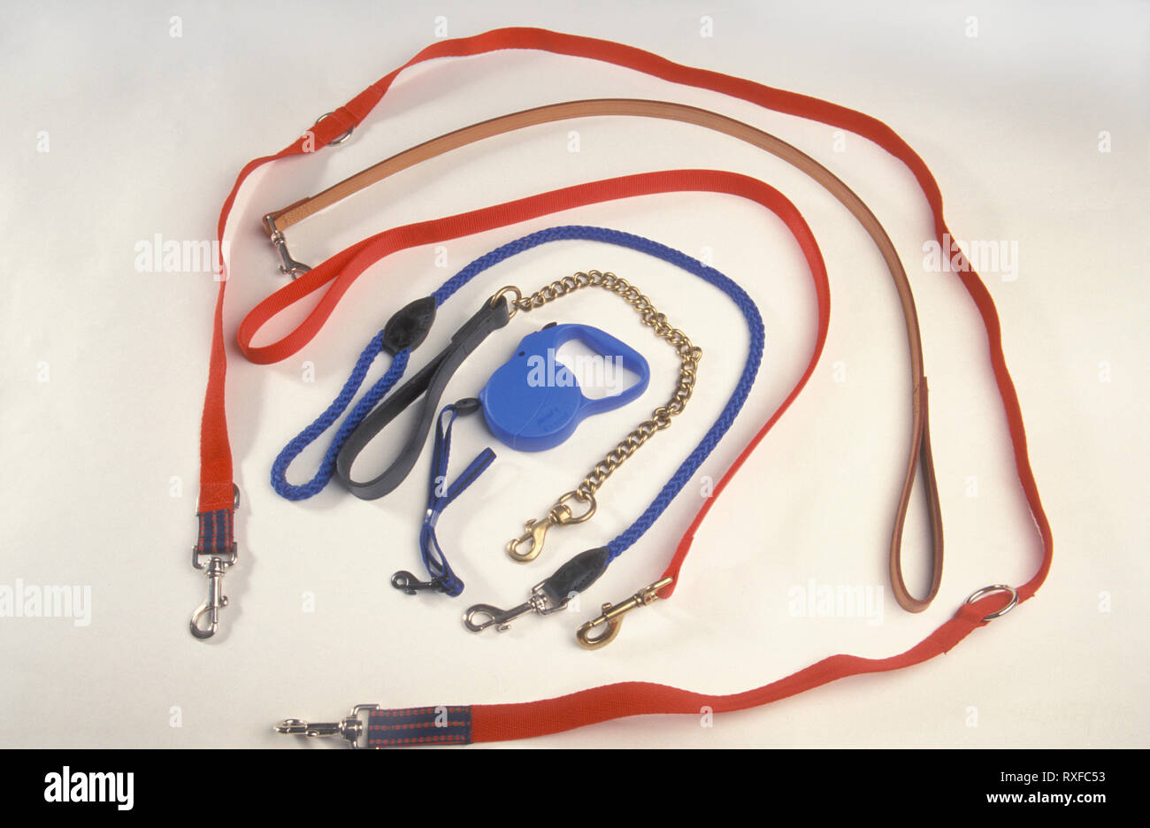Dog lead dog leads hi-res stock photography and images - Alamy