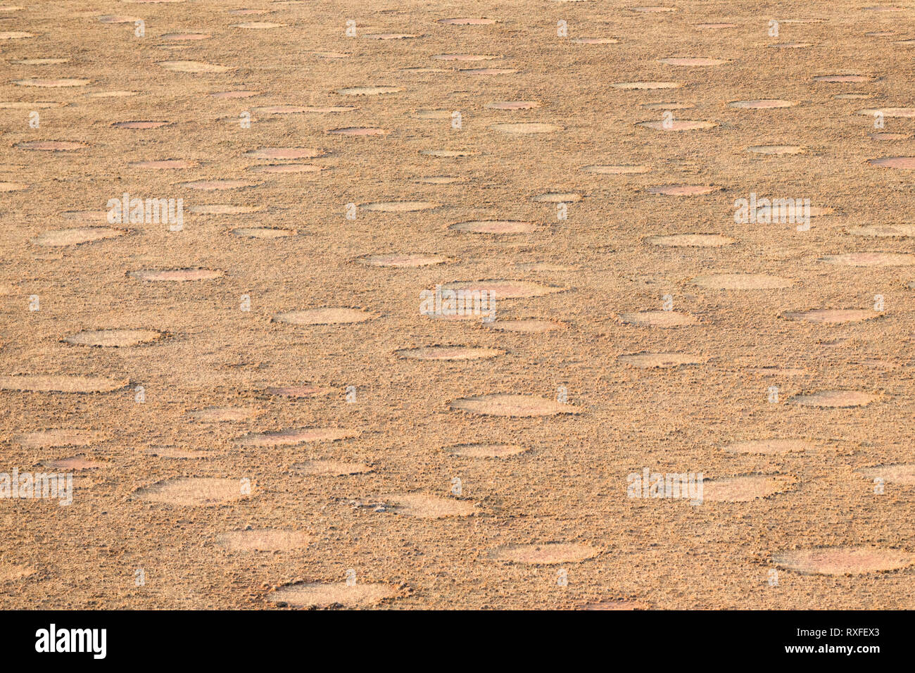 Fairy circle hi-res stock photography and images - Alamy