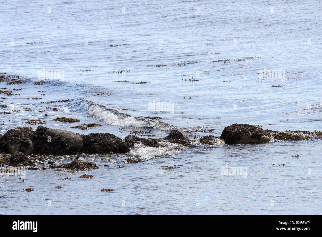 Shoreline surface hi-res stock photography and images - Alamy
