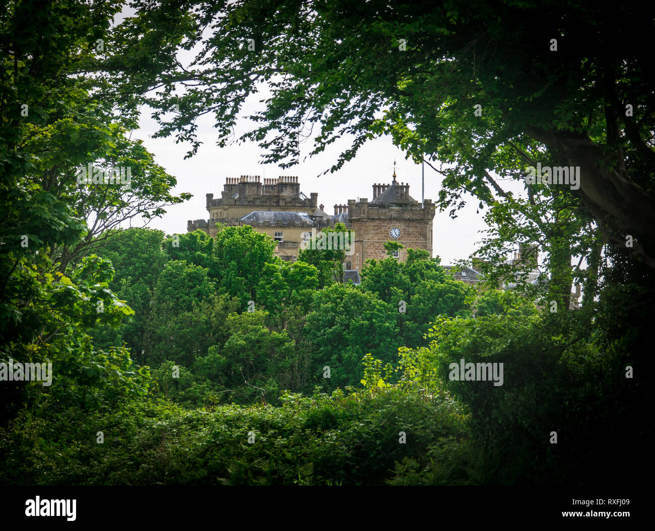 Traditional ancient historic trees and landscape hi-res stock ...