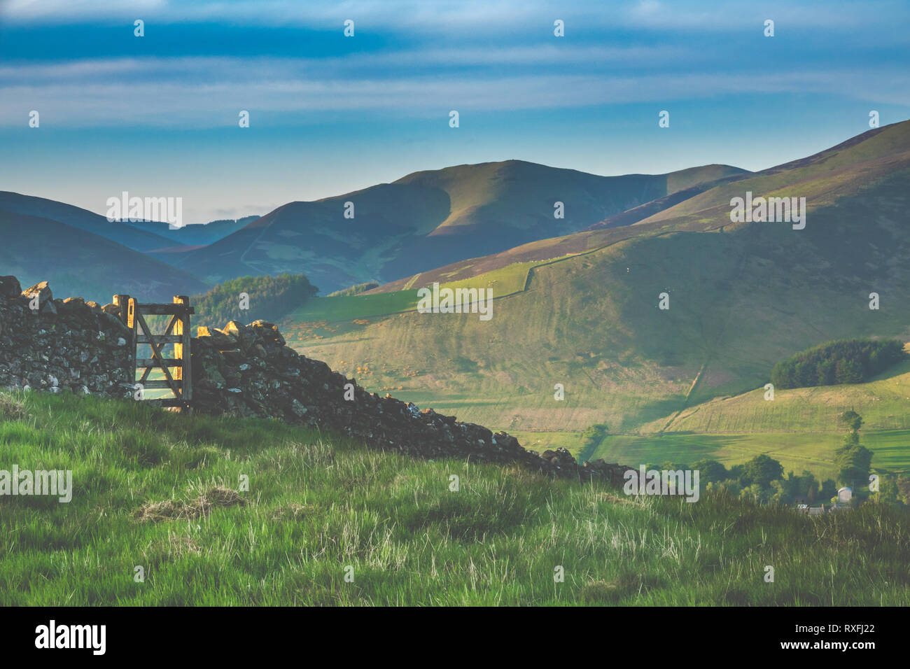 Traditional Dry Stone Wall In The Rolling Scottish Borders Countryside ...