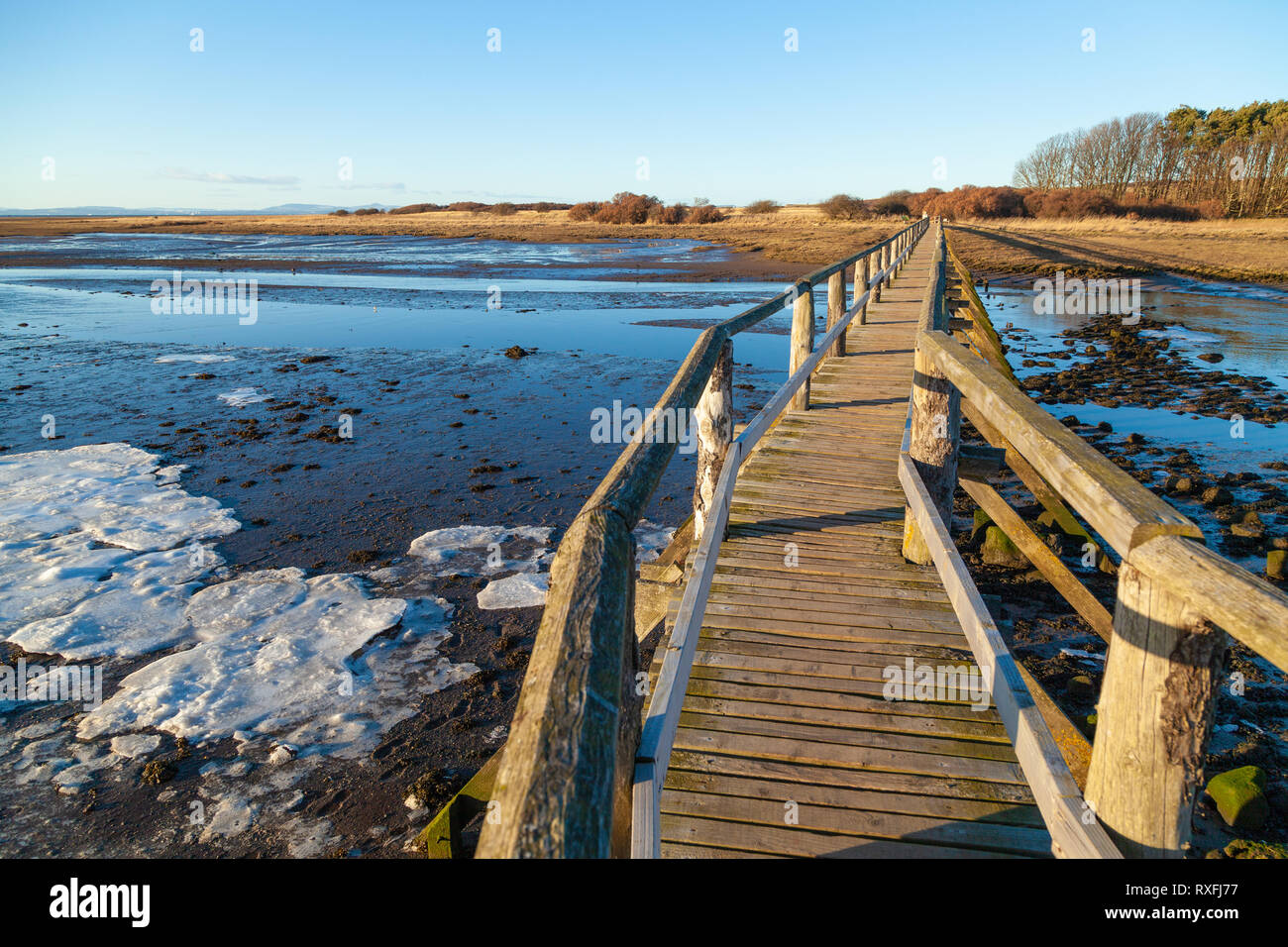The wooden footbridge over the Peffer Burn at Aberlady Bay Nature ...
