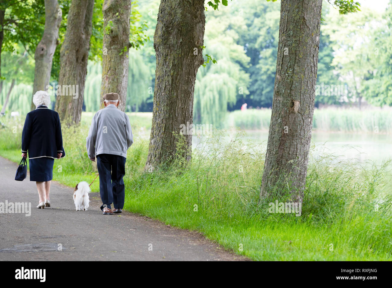 Two retired persons walking with dog Stock Photo - Alamy